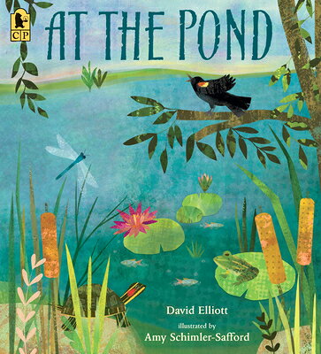 AT THE POND Paws, Fins, Feathers, Claws David Elliott Amy SchimlerーSafford CANDLEWICK BOOKS2026 Paperback English ISBN：9...