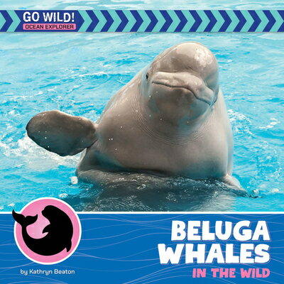 BELUGA WHALES IN THE WILD 21st Century Beginning Library: Go Wild! Ocean Explorer Kathryn Beaton CHERRY LAKE PUB2026 Lib...