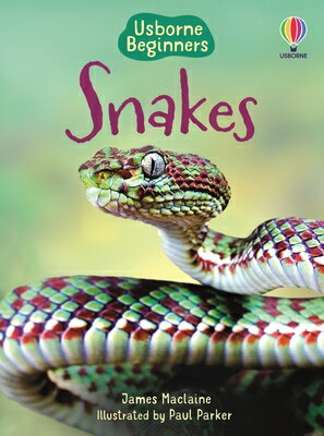 SNAKES (USBORNE BEGINNERS) Beginners James MacLaine Paul Parker USBORNE BOOKS2026 Paperback English ISBN：9781836052777 洋...