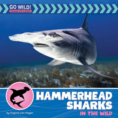 HAMMERHEAD SHARKS IN THE WILD 21st Century Beginning Library: Go Wild! Ocean Explorer Virginia LohーHagan CHERRY LAKE PUB...