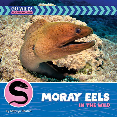 MORAY EELS IN THE WILD 21st Century Beginning Library: Go Wild! Ocean Explorer Kathryn Beaton CHERRY LAKE PUB2026 Librar...