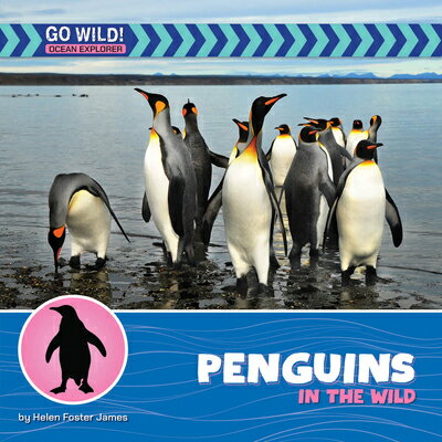 PENGUINS IN THE WILD 21st Century Beginning Library: Go Wild! Ocean Explorer Helen Foster James CHERRY LAKE PUB2026 Libr...