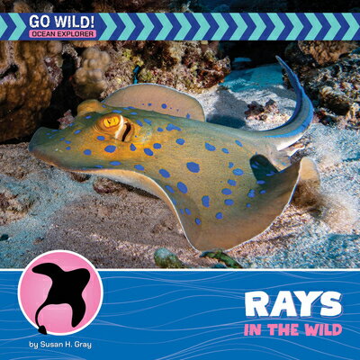 RAYS IN THE WILD 21st Century Beginning Library: Go Wild! Ocean Explorer Susan H. Gray CHERRY LAKE PUB2026 Library　Bindi...