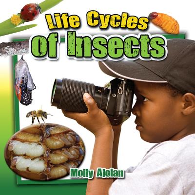 INSECTS CLOSE UP LIFE CYCLES O Insects CloseーUp Molly Aloian CRABTREE PUB2013 Paperback English ISBN：9780778712824 洋書 Bo...
