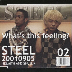 STEELホワッツディスフィーリング スティール 発売日：2001年09月05日 予約締切日：2001年08月29日 What`s this feeling? JAN：4988018312833 FLCFー3878 (株)フォーライフ ミュ...