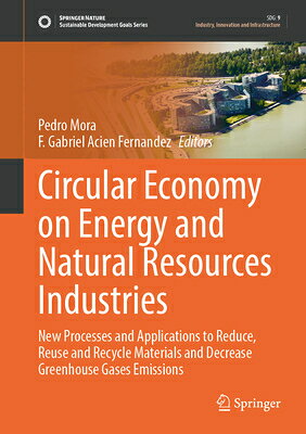 CIRCULAR ECONOMY ON ENERGY & N Sustainable Development Goals Pedro Mora F. Gabriel Acien Fernandez SPRINGER NATURE2024 H...
