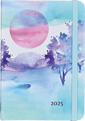 2025 REFLECTIONS WEEKLY PLANNE Peter Pauper Press Inc PETER PAUPER2023 Desk English ISBN：9781441342843 洋書 NonーClassifiab...