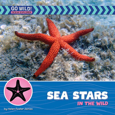 SEA STARS IN THE WILD 21st Century Beginning Library: Go Wild! Ocean Explorer Helen Foster James CHERRY LAKE PUB2026 Lib...
