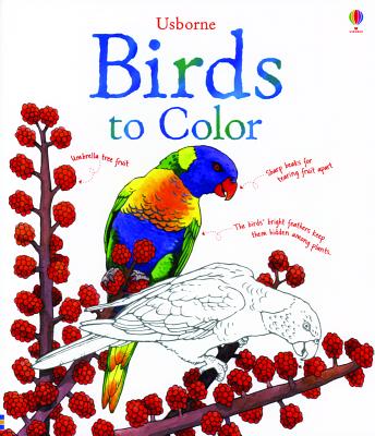 COLOR BKーBIRDS TO COLOR Megan Cullis Jenny Cooper Nelupa Hussain EDUC DEVELOPMENT CORP2012 Paperback English ISBN：978079...
