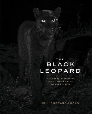 BLACK LEOPARD Will BurrardーLucas CHRONICLE BOOKS2021 Hardcover English ISBN：9781797202914 洋書 Fiction & Literature（小説＆文芸）...
