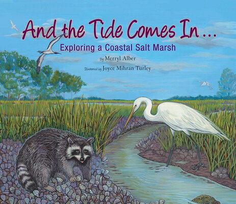 AND THE TIDE COMES IN Merryl Alber Joyce Mihran Turley MUDDY BOOKS2017 Paperback English ISBN：9781630763022 洋書 Books for...