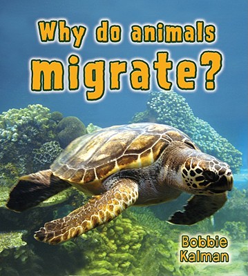 WHY DO ANIMALS MIGRATE Big Science Ideas Bobbie Kalman CRABTREE PUB2009 Paperback English ISBN：9780778733034 洋書 Books fo...