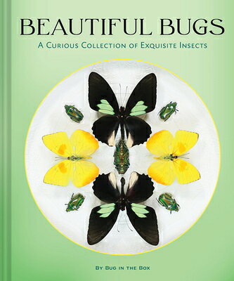 BEAUTIFUL BUGS Bug in the Box CHRONICLE BOOKS2026 Hardcover English ISBN：9781797243047 洋書 Art & Entertainment（芸術＆エンターテイン...