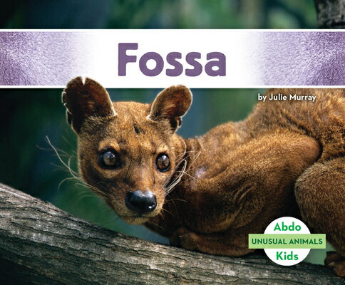 FOSSA Unusual Animals Julie Murray ABDO KIDS JUMBO2024 Library　Binding English ISBN：9798384903048 洋書 Books for kids（児童書）...