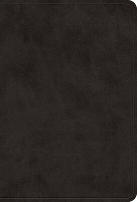 ESV VALUE LP COMPACT BIBLE (TR Esv Bibles CROSSWAY BOOKS2025 Imitation　Leather English ISBN：9798874903053 洋書 NonーClassif...