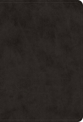 ESV VALUE LP COMPACT BIBLE (TR Esv Bibles CROSSWAY BOOKS2025 Imitation　Leather English ISBN：9798874903053 洋書 NonーClassif...