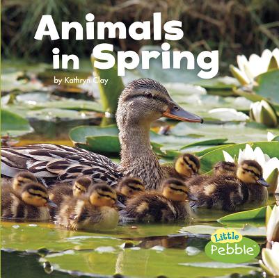 ANIMALS IN SPRING Celebrate Spring Kathryn Clay CAPSTONE PR2016 Paperback English ISBN：9781491483060 洋書 Books for kids（児...