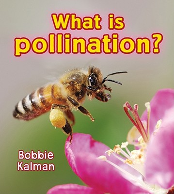 WHAT IS POLLINATION Big Science Ideas Bobbie Kalman CRABTREE PUB2010 Paperback English ISBN：9780778733065 洋書 Books for k...
