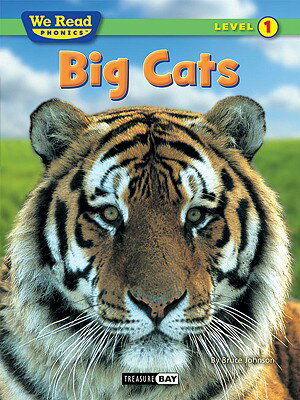 WE READ PHONICS BIG CATS We Read Phonics ー Level 1 (Quality) Bruce Johnson TREASURE BAY INC2010 Paperback English ISBN：9...