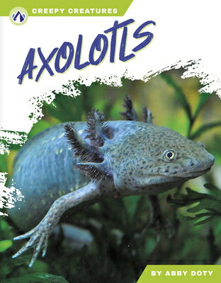 AXOLOTLS Abby Doty APEX WEA INTL2025 Library　Binding English ISBN：9798892503198 洋書 Books for kids（児童書） Juvenile Nonfiction
