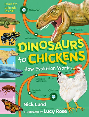 DINOSAURS TO CHICKENS Nick Lund Lucy Rose WORKMAN PR2024 Hardcover English ISBN：9781523513208 洋書 Books for kids（児童書） Juv...