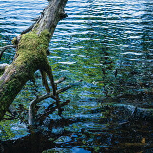 菅原一樹ウェア ウィンド アライゼス スガワラカズキ 発売日：2021年10月27日 予約締切日：2021年10月23日 WHERE WIND ARISES JAN：4582500633286 ITLBー1144 Intense Lab ダ...