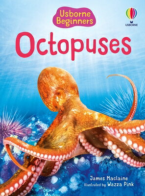 OCTOPUSES (USBORNE BEGINNERS) Beginners Wazza Pink James MacLaine USBORNE BOOKS2026 Paperback English ISBN：9781836053293...