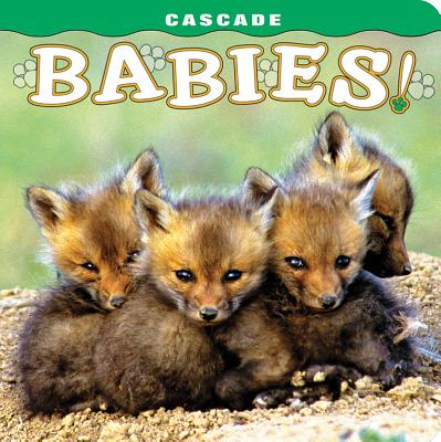 CASCADE BABIESーBOARD Babies! (Farcountry Press) Tom Leeson Pat Leeson Wendy Shattil FARCOUNTRY PR2013 Board　Books Englis...