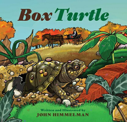 BOX TURTLE John Himmelman TAYLOR PUB2018 Hardcover English ISBN：9781630763312 洋書 Books for kids（児童書） Juvenile Fiction