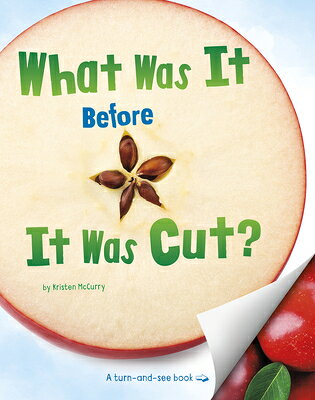 WHAT WAS IT BEFORE IT WAS CUT What Was It? Kristen McCurry PEBBLE BOOKS2020 Hardcover English ISBN：9781977113313 洋書 Book...
