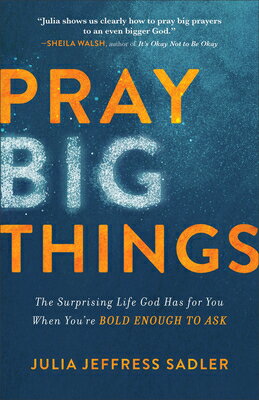 PRAY BIG THINGS Julia Jeffress Sadler BAKER PUB GROUP2019 Paperback English ISBN：9780801093364 洋書 Social Science（社会科学） R...