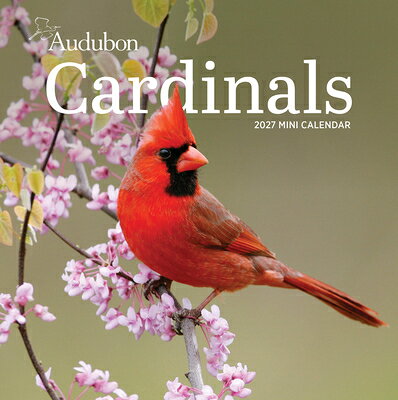 AUDUBON CARDINALS MINI WALL CA National Audubon Society Workman Calendars WORKMAN PR2026 Mini English ISBN：9781523533367...