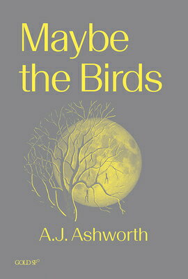 MAYBE THE BIRDS Goldsmiths Press / Gold SF A. J. Ashworth GOLDSMITHS PR2025 Paperback English ISBN：9781915983381 洋書 Fict...
