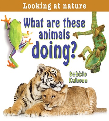 WHAT ARE THESE ANIMALS DOING Looking at Nature Bobbie Kalman CRABTREE PUB2008 Paperback English ISBN：9780778733447 洋書 Bo...