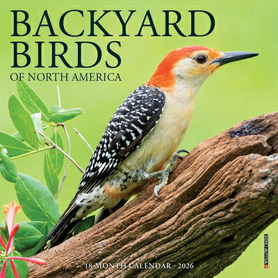 BACKYARD BIRDS MINI WALL CAL Willow Creek Press WILLOW CREEK PR2025 Mini English ISBN：9781549253447 洋書 Computers & Scien...