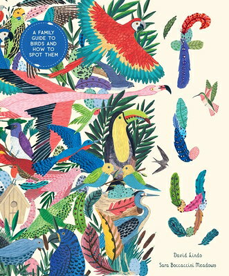 FLY In Our Nature David Lindo Sara Boccaccini Meadows MAGIC CAT2024 Hardcover English ISBN：9781419773464 洋書 Books for ki...