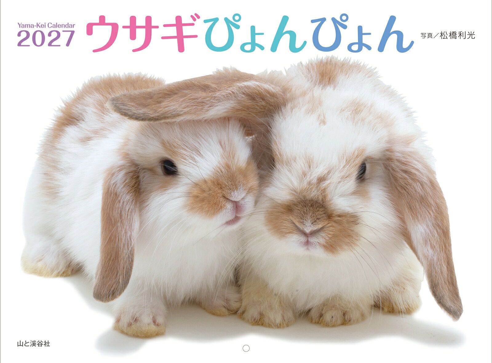 YamaーKei　Calendar 2027 山と溪谷社発行年月：2026年09月15日 予約締切日：2026年06月25日 ISBN：9784635863469 本 ホビー・スポーツ・美術 美術 その他 美容・暮らし・健康・料理 ペット ...