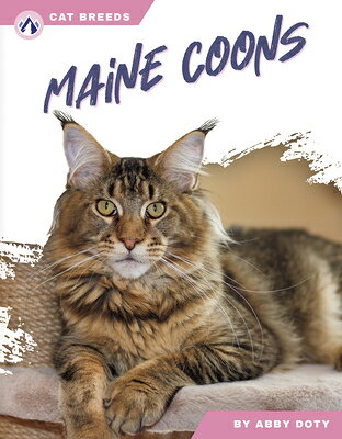 MAINE COONS Abby Doty APEX WEA INTL2025 Paperback English ISBN：9798892503495 洋書 Books for kids（児童書） Juvenile Nonfiction