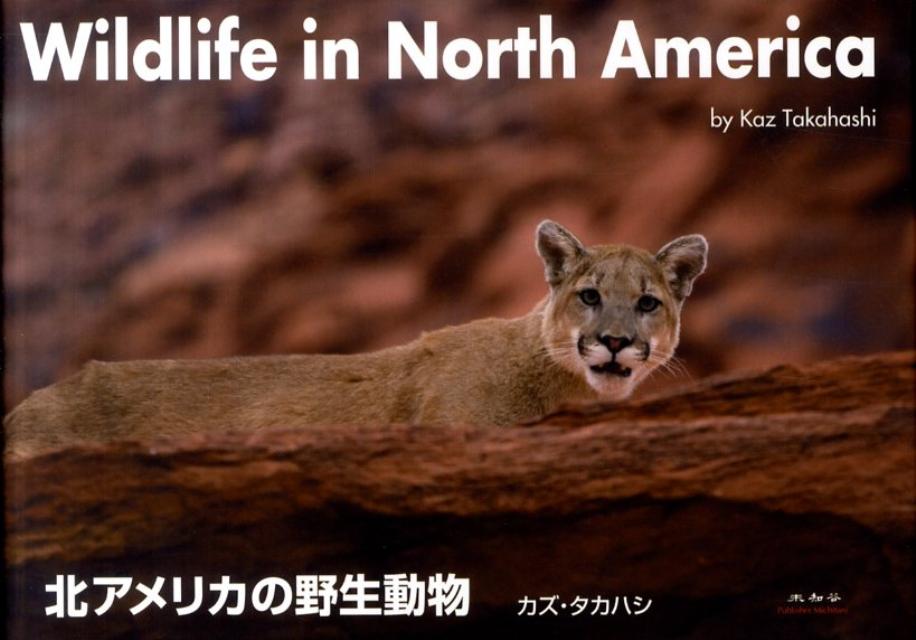 カズ・タカハシ 未知谷キタアメリカ ノ ヤセイ ドウブツ カズ タカハシ 発行年月：2011年09月 ページ数：63p サイズ：単行本 ISBN：9784896423532 カズ・タカハシ（カズタカハシ） 本名高橋和男。1948年鹿児島県長...