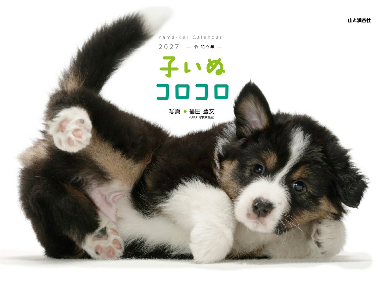 YamaーKei　Calendar 2027 山と溪谷社発行年月：2026年09月28日 予約締切日：2026年06月25日 ISBN：9784635863537 本 ホビー・スポーツ・美術 美術 その他 美容・暮らし・健康・料理 ペット ...