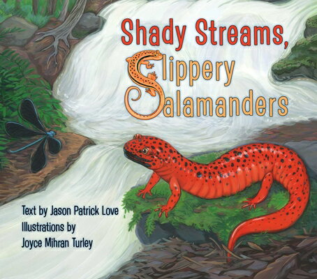 SHADY STREAMS SLIPPERY SALAMAN Jason Patrick Love Joyce Turley MUDDY BOOKS2019 Hardcover English ISBN：9781630763565 洋書 B...