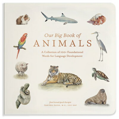 OUR BBO ANIMALS Tabitha Paige Children's Book Tabitha Paige, MS CCCーSLP Paige Tate & Co PAIGE TATE SELECT2026 Board　Book...