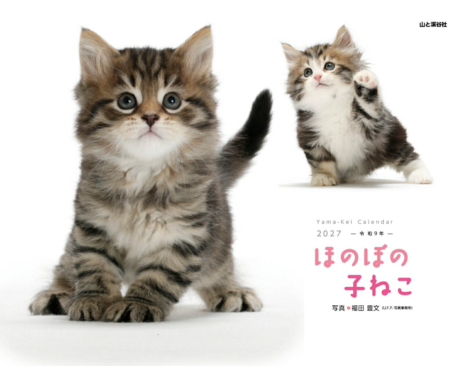 YamaーKei　Calendar 2027 山と溪谷社発行年月：2026年09月28日 予約締切日：2026年06月25日 ISBN：9784635863568 本 ホビー・スポーツ・美術 美術 その他 美容・暮らし・健康・料理 ペット ...