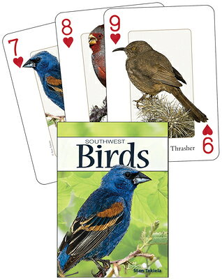 CDーBIRDS OF THE SOUTHWESTー54PK Nature's Wild Cards Stan Tekiela ADVENTURE PUBN2012 Other English ISBN：9781591933618 洋書 F...
