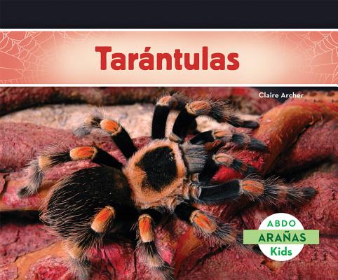 SPAーTARANTULAS (TARANTULA SPID Aranas (Spiders) Claire Archer ABDO KIDS2014 Hardcover Spanish ISBN：9781629703688 洋書 Book...