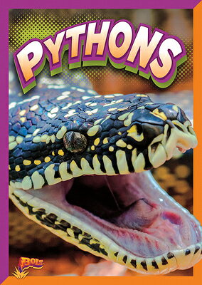 PYTHONS Slithering Snakes Gail Terp CREATIVE CO2020 Paperback English ISBN：9781644663707 洋書 Computers & Science（コンピューター＆...