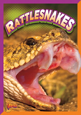 RATTLESNAKES Slithering Snakes Gail Terp CREATIVE CO2020 Paperback English ISBN：9781644663714 洋書 Computers & Science（コンピ...