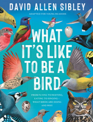 WHATS IT LIKE TO BE A BIRD David Allen Sibley BOUND TO STAY BOUND2023 Prebound English ISBN：9798855123722 洋書 Books for k...