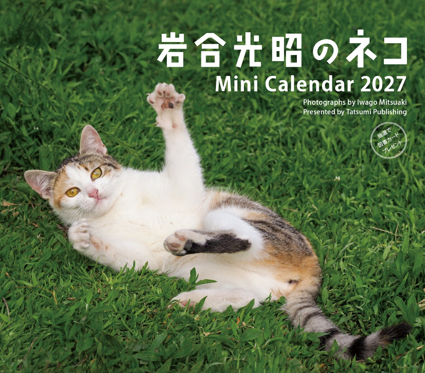 岩合光昭 辰巳出版ニセンニジュウナナ　ミニカレンダー　イワゴウミツアキノネコ イワゴウミツアキ 発行年月：2026年09月03日 予約締切日：2026年06月17日 ページ数：14p サイズ：単行本 ISBN：9784777833771 本...