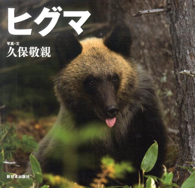 北国の野生動物 久保敬親 新日本出版社ヒグマ クボ,ケイシン 発行年月：2010年08月 ページ数：32p サイズ：絵本 ISBN：9784406053778 みつめつづけた王者、ヒグマ親子の四季。北国の野生動物に出会える写真絵本。 本 絵...